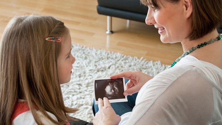 How to explain the phenomenon of genesis and birth to a child ...