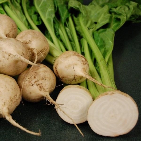 Panxhari i bardhë: Pastrues i organizmit - Telegrafi - Telegrafi