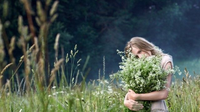 Bimët e egra në përdorimin ushqimor - Telegrafi