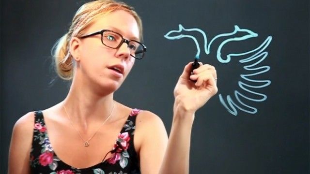 Daisy Edwards: How to draw the Red Flag (Video) - Telegraph - Telegraph