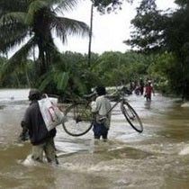 Many dead as a result of heavy rains in Brazil - Telegraph - Telegraph