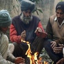 Over 175 victims of frost in India - Telegraph - Telegraph
