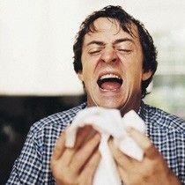 Sneeze as much as you can! - Telegraph - Telegraph
