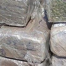 The police confiscate 25 kilograms of marijuana - Telegraph - Telegraph