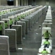 The world record of "human" dominoes is broken (Video) - Telegrafi ...
