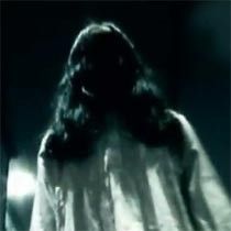 Hidden camera horror - Telegraph - Telegraph