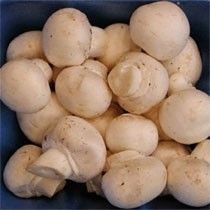 Kërpudhat forcojnë imunitetin - Telegrafi - Telegrafi