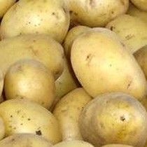 Patatja e Kosovës, ul çmimin e saj në Serbi - Telegrafi - Telegrafi