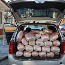 Gjirokastra, 195 kg of hashish are seized - Telegrafi - Telegrafi