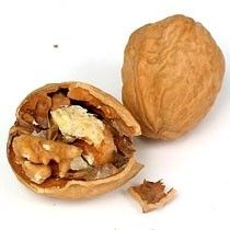 Walnuts fight prostate cancer - Telegraph - Telegraph