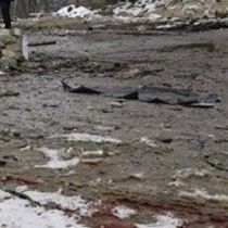 The Islamist leader in Dagestan is killed - Telegraph - Telegraph
