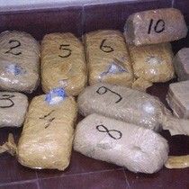 The most dangerous Serbian mafia in the Balkans - Telegraph - Telegraph