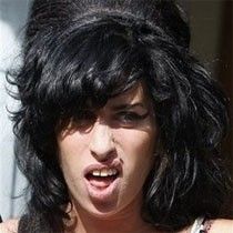 Paparazzi can't follow Amy - Telegraph - Telegraph