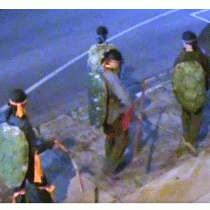 Breshkat ninxha "patrullojnë" në Australi (Foto) - Telegrafi - Telegrafi