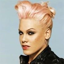 Pink is not bisexual! - Telegraph - Telegraph