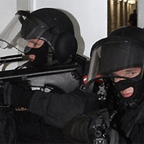 Austria: The Albanian-Serbian gang is arrested - Telegraph - Telegraph