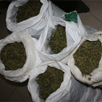 17 kilograms of hashish are seized - Telegraph - Telegraph