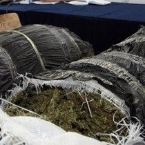 More than 13 kilograms of marijuana were seized - Telegraph - Telegraph