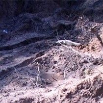 Mass cemetery in Switzerland of Medvegja? - Telegraph - Telegraph