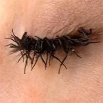 Artificial eyelashes with fly legs - Telegraph - Telegraph