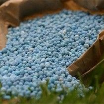 Artificial manure does not replace stable manure - Telegraph - Telegraph