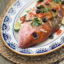 With fish against macular degeneration - Telegraph - Telegraph