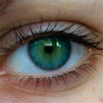 Më mirë thjerrëzat se operacioni me laser - Telegrafi - Telegrafi