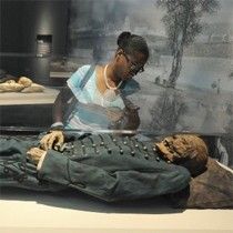 The 'naked' mummies leave the museum - Telegraph - Telegraph