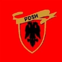 Report, DPSH: Real overview of the situation - Telegraph - Telegraph