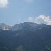 The corpse damaged by the beasts is identified - Telegraph - Telegraph