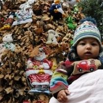 Bredhi i të pastrehëve (Foto) - Telegrafi - Telegrafi