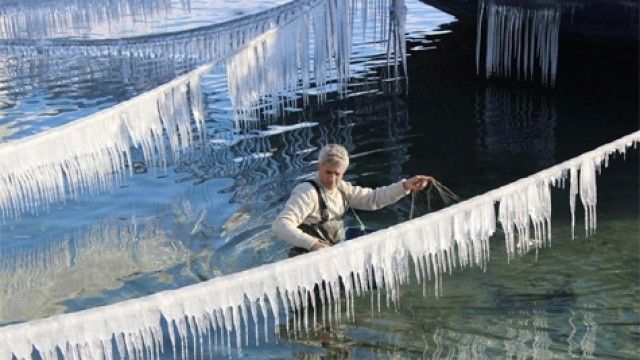 Pogradec is wonderful even in winter (Photo) - Telegrafi - Telegrafi