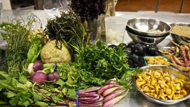 Foods and plants with natural antibiotic properties - Telegraph - Telegraph