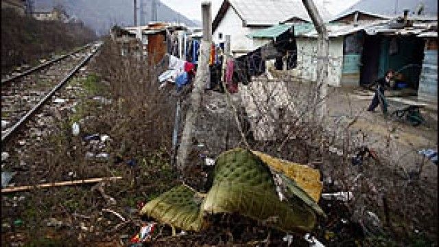 Varfëria ka lëshuar rrënjë - Telegrafi