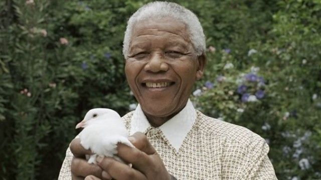 Nelson Mandela died (Video) - Telegraph - Telegraph