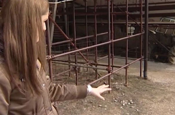 The touching words of Besarta Jashari, with which he remembers his ...