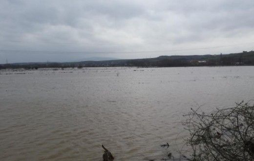 Sitnica floods houses and hundreds of hectares of land - Telegrafi ...
