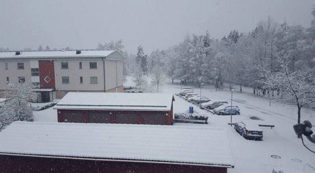 Snow in Sweden (Photo) - Telegraph - Telegraph
