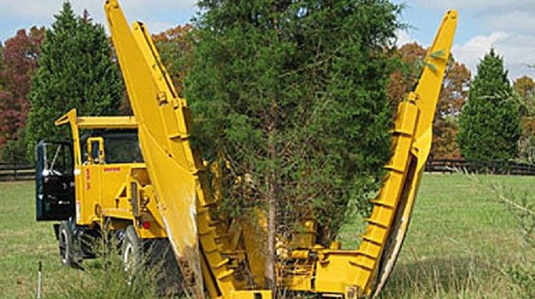 Today, a new machine for planting trees is promoted - Telegrafi - Telegrafi