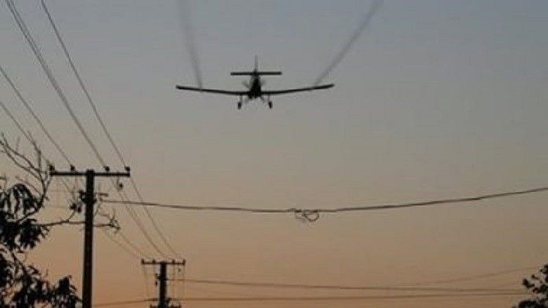 The first phase of disinsection in Skopje ends - Telegrafi - Telegrafi