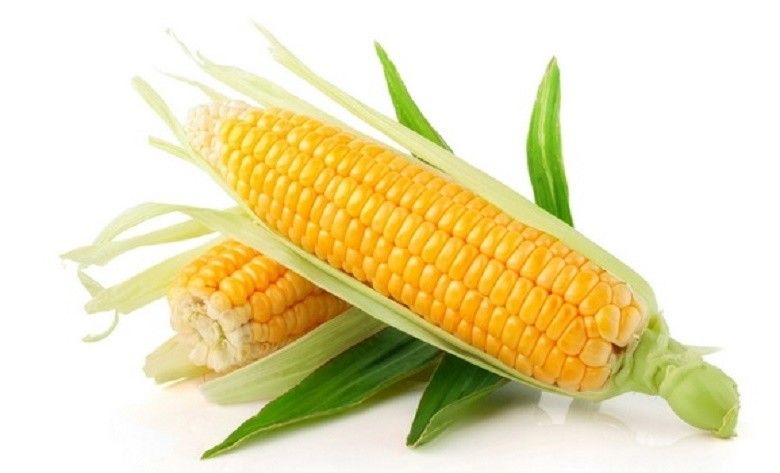 Corn yields increase in Pellagoni - Telegraph - Telegraph