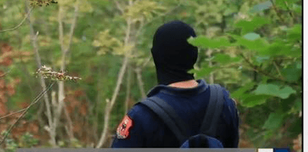 The Italian journalist "enters" the cannabis plots in Kruja (Video ...