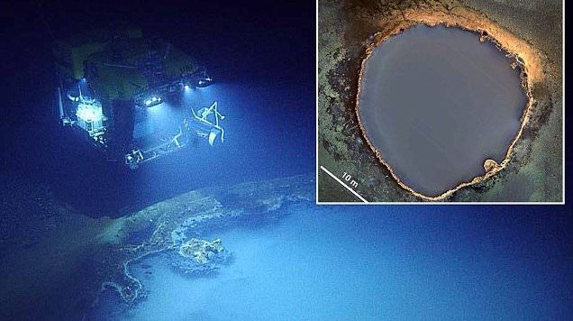 "Jacuzzi of death" that kills everything that swims in it (Photo ...