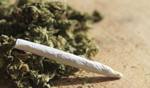 Call for the legalization of hashish in Britain - Telegraph - Telegraph