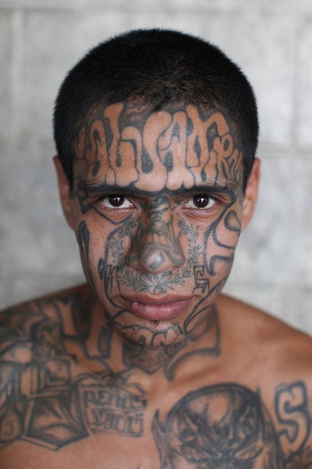 Photos of the biggest and scariest gang in the world! - Telegraph ...