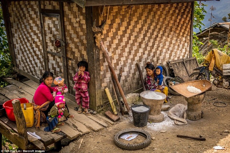 The barbaric tradition of the tribe that disfigures itself, to save its ...