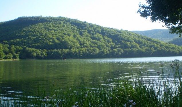 Baskets are placed around the Batllava Lake today - Telegrafi - Telegrafi