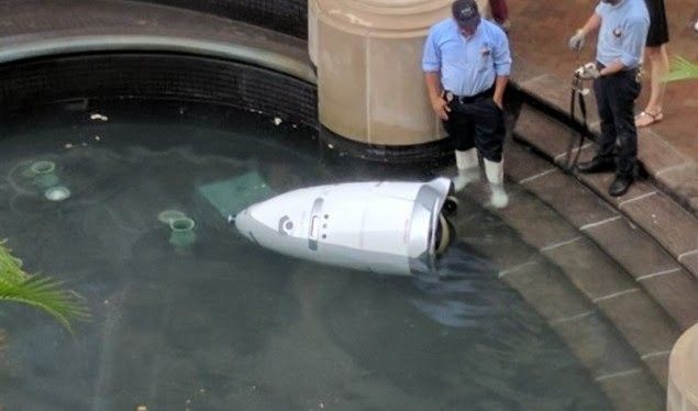 The robot falls into the fountain (Photo) - Telegraph - Telegraph