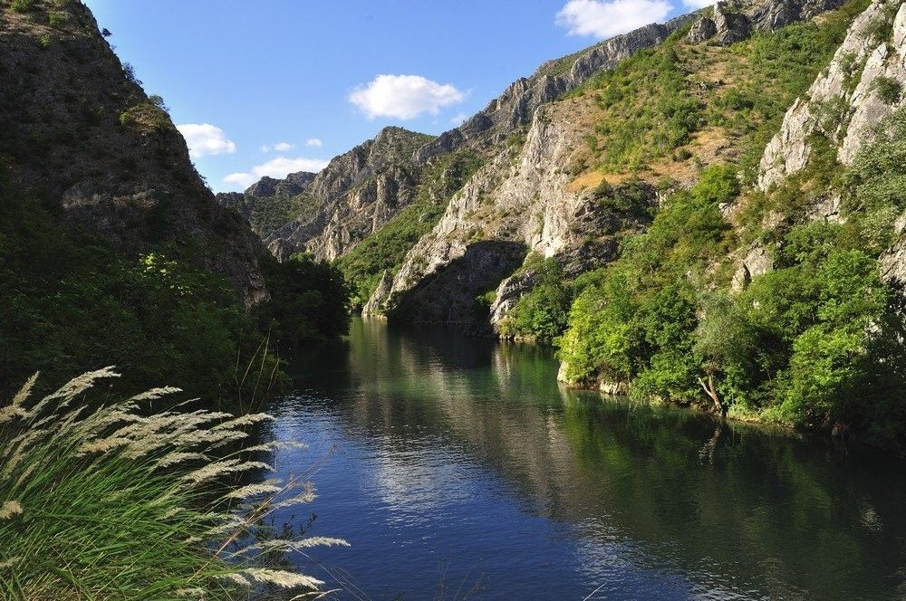 The new law for the protection of Matka is in the final stage ...