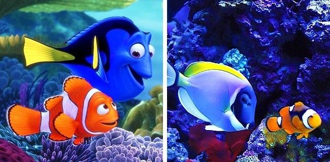 Fourteen animals in real life that are exact copies of characters from ...